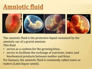 Amniotic fluid ppt | PPTX