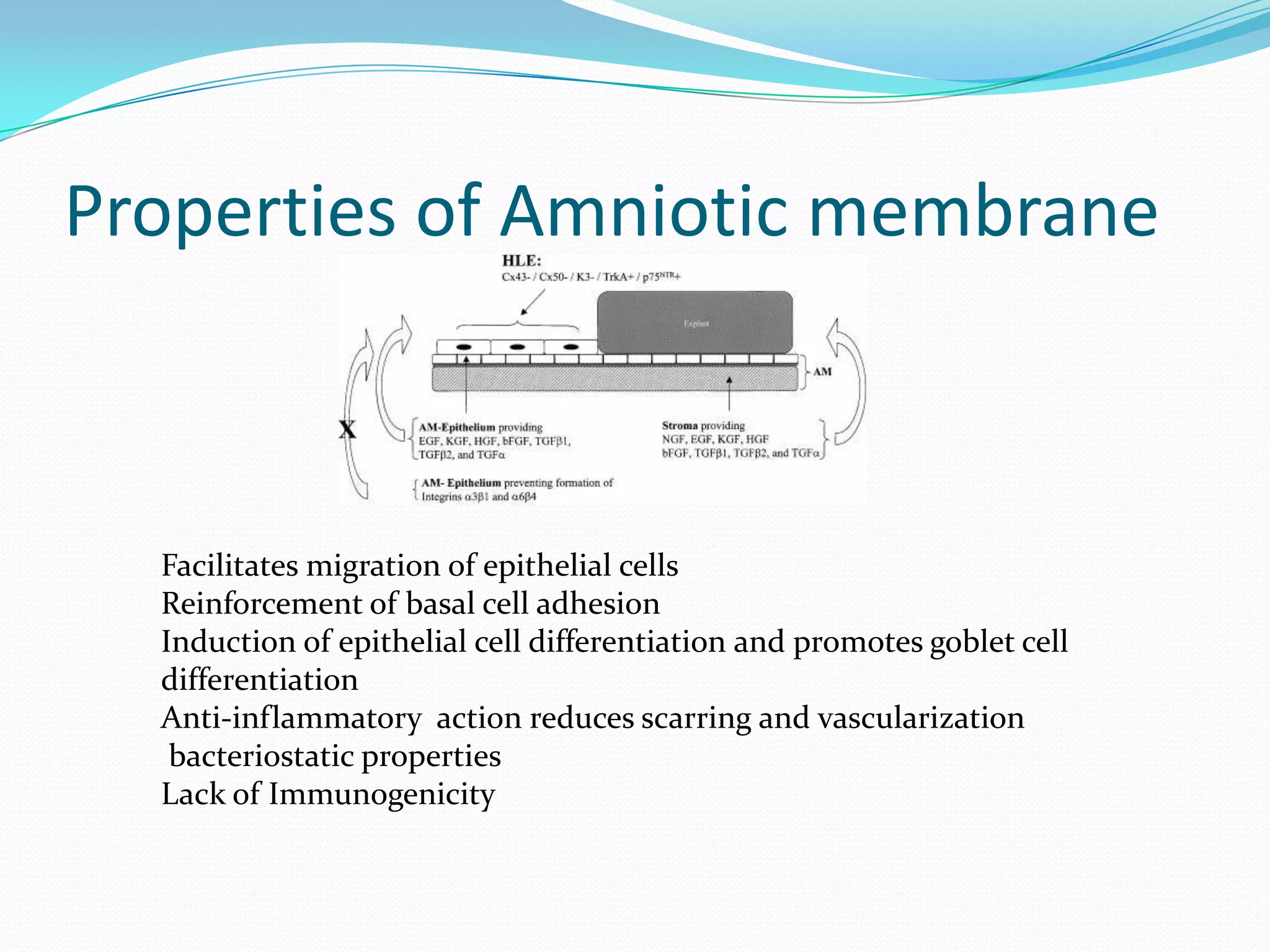 Amniotic Membrane Transplant | PPTX