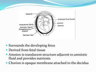 Amniotic Membrane Transplant | PPTX
