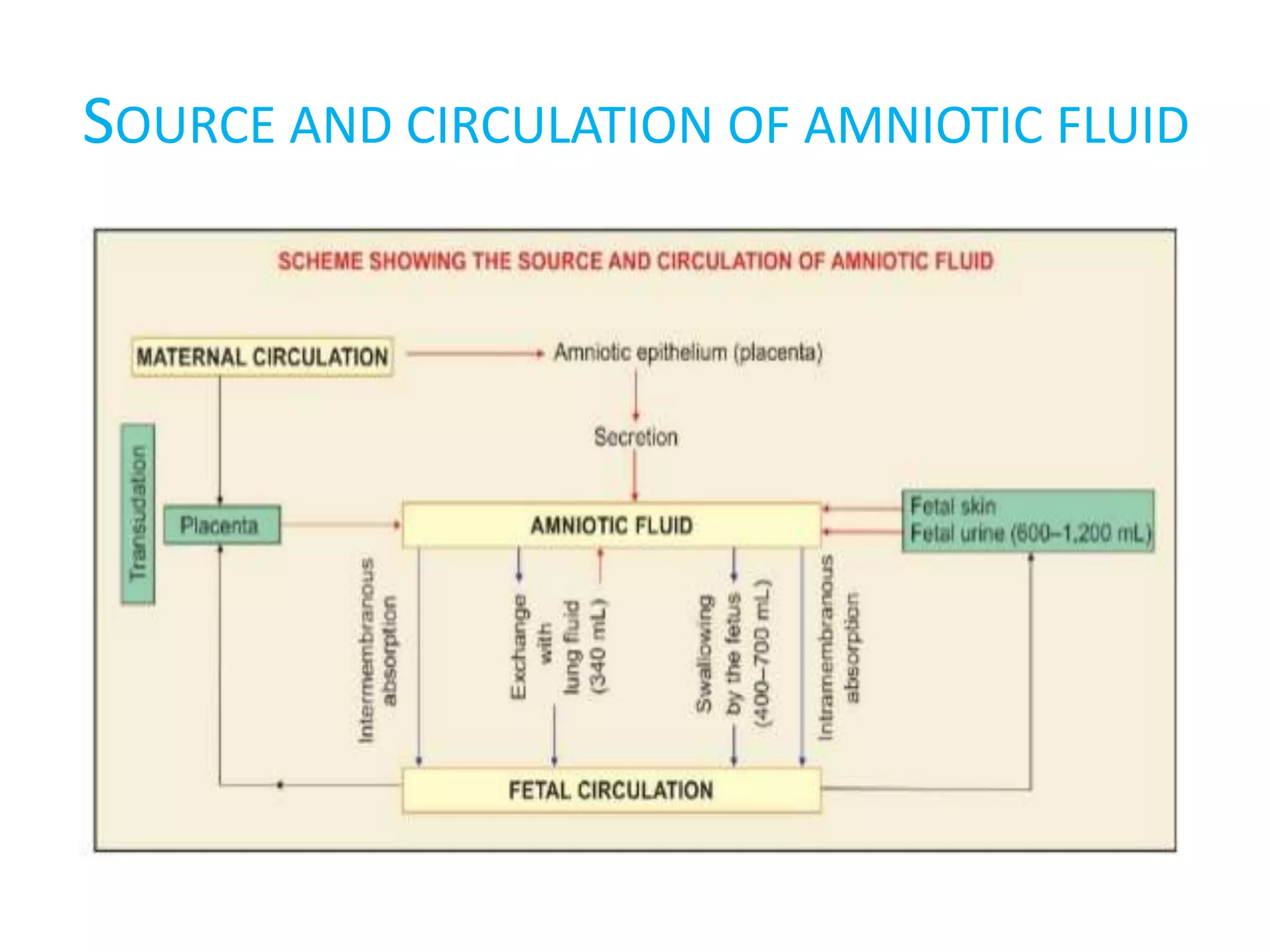 Amniotic sac and fluid | PPTX