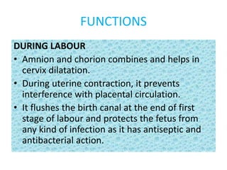 Amniotic sac and fluid | PPTX
