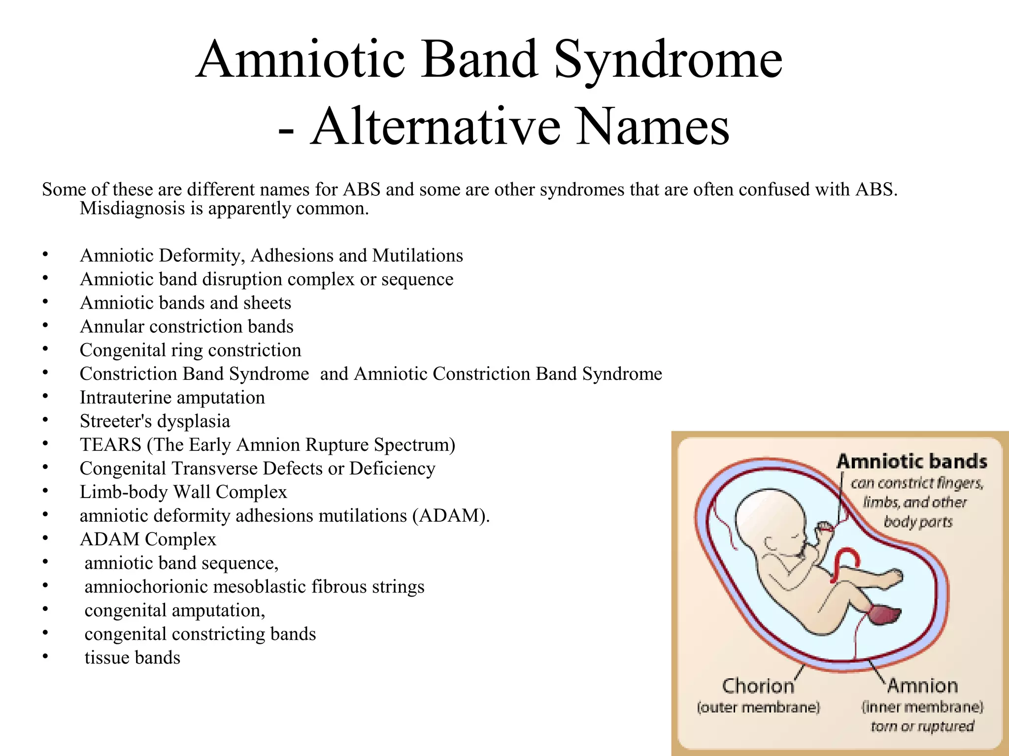 Amniotisbandsyndrome | PPT