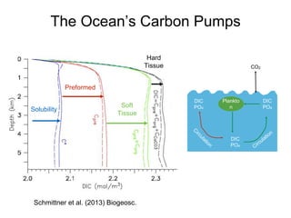 Atlantic Meridional Overturning Circulation Effects on the Carbon Cycle ...