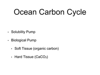 Atlantic Meridional Overturning Circulation Effects on the Carbon Cycle ...