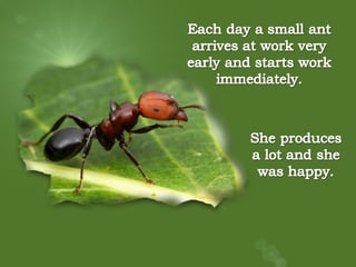 A modern fable of the ant | PPS