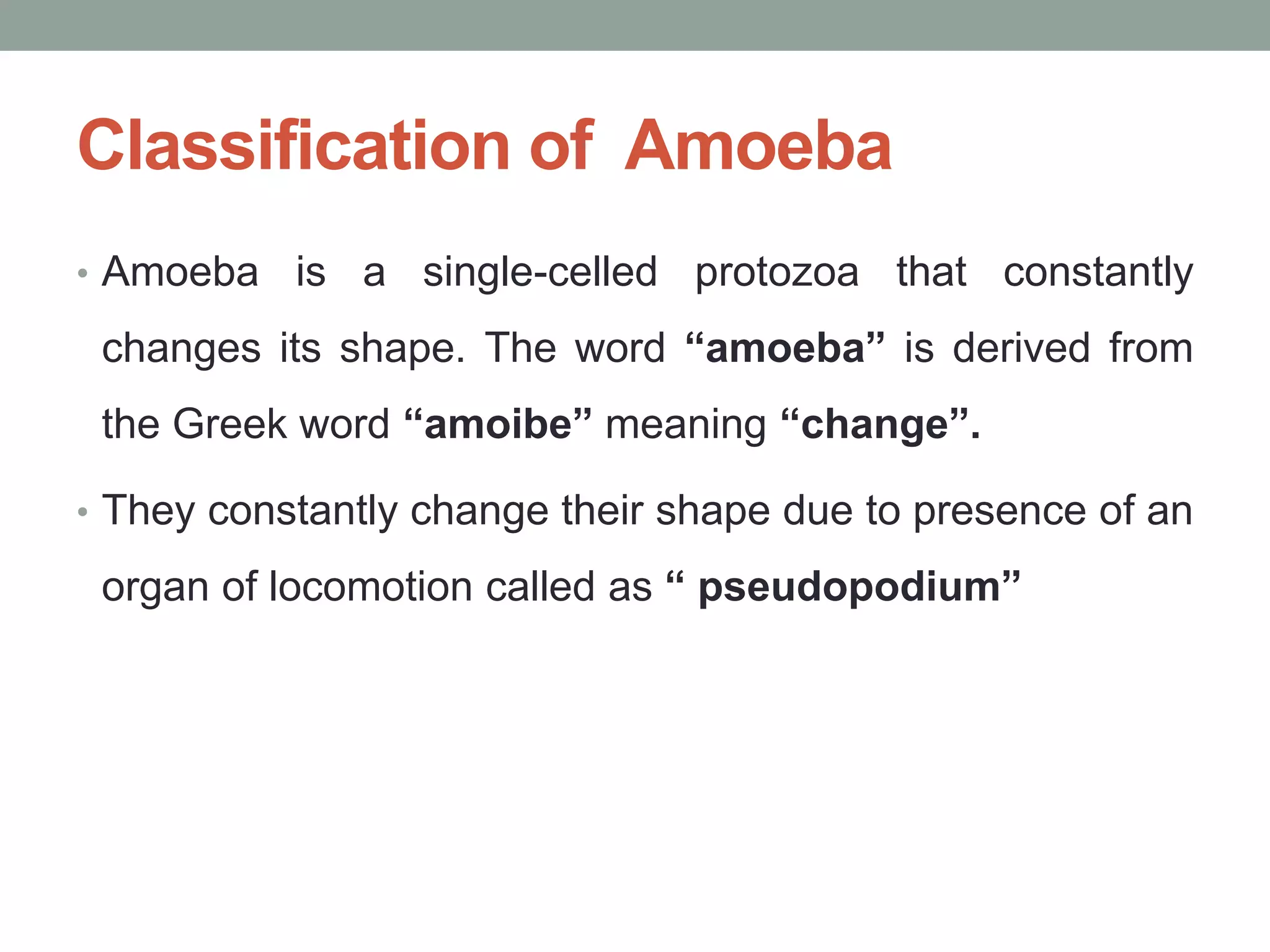 Amoeba.lecture 3 chapter 3.pptx