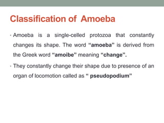 Amoeba.lecture 3 chapter 3.pptx