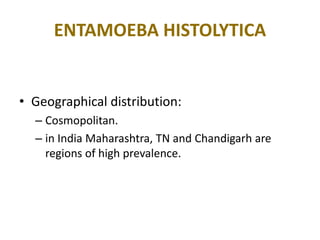 Amoebae | PPTX