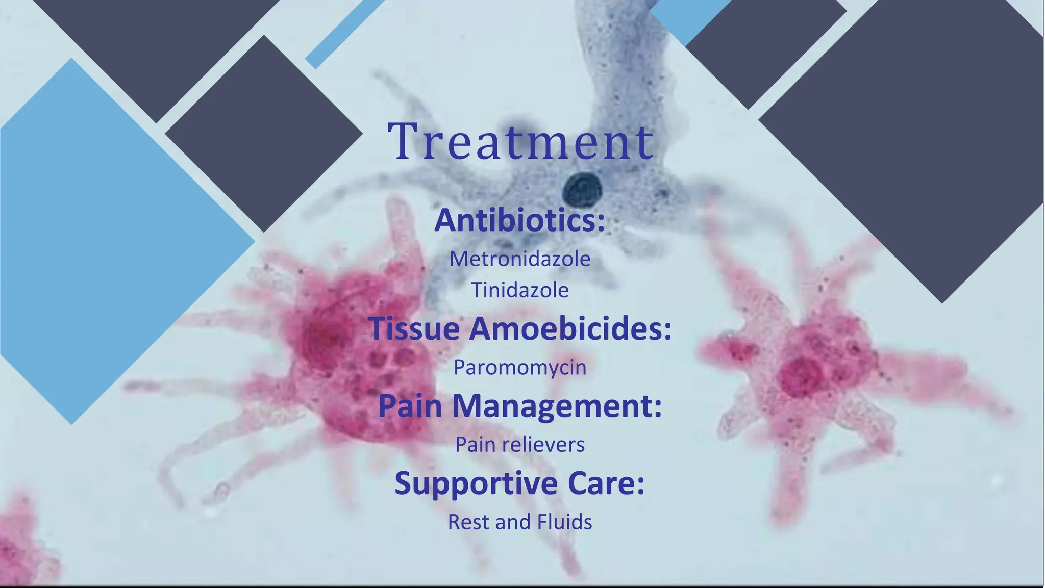 Amoeba Hapatica presentation by Ayesha Khan.pptx