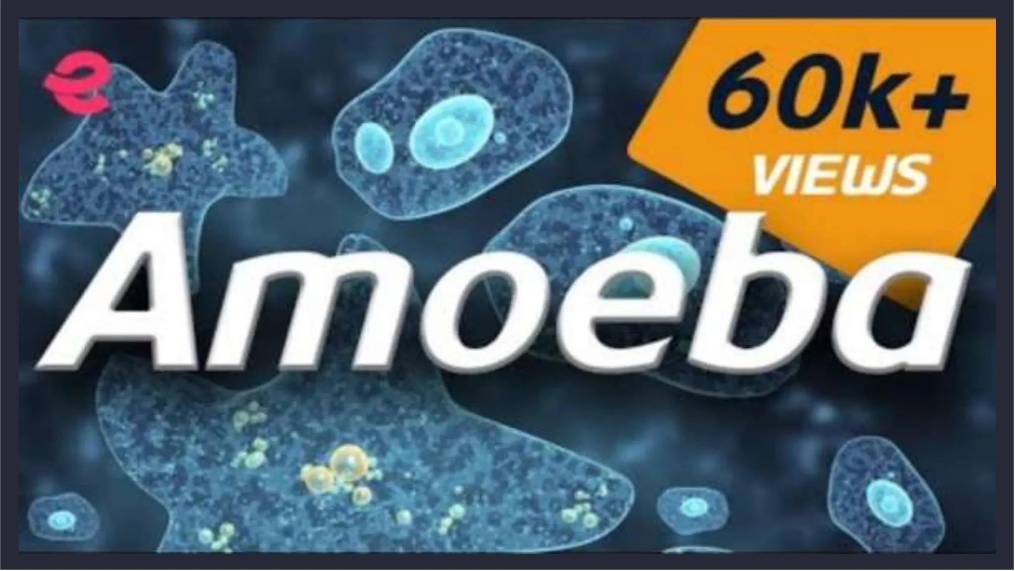 Amoeba Hapatica presentation by Ayesha Khan.pptx