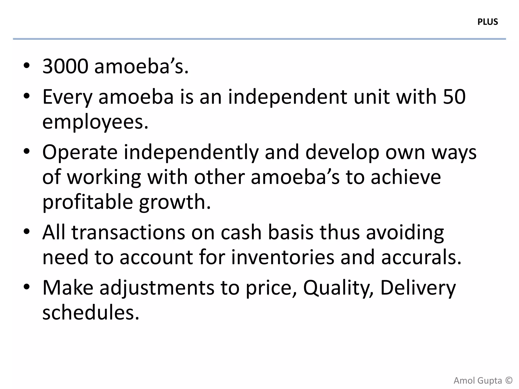 Amoeba management | PDF
