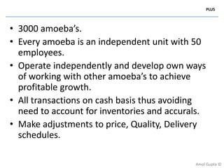 Amoeba management | PDF