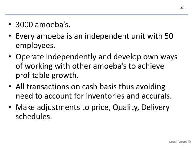 Amoeba management | PDF | Business Administration | Business