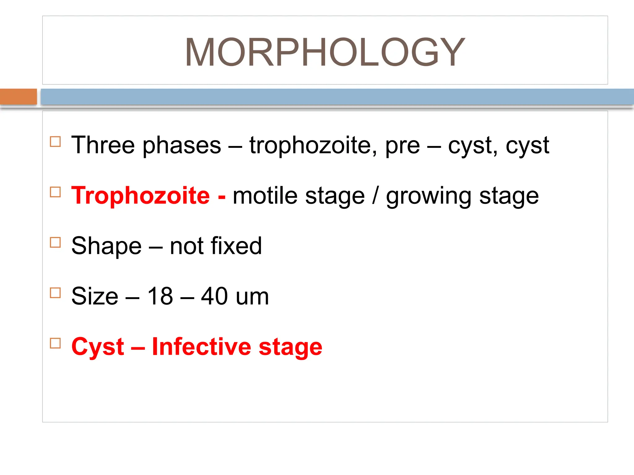 Entamoeba histolytica: Morphology, Life Cycle, Pathogenesis & Clinical ...