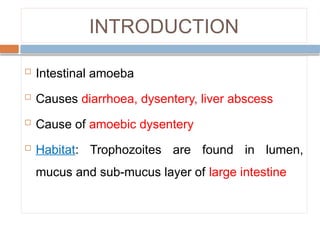 Entamoeba histolytica: Morphology, Life Cycle, Pathogenesis & Clinical ...