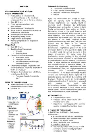 Amoeba Notes 2014 | PDF