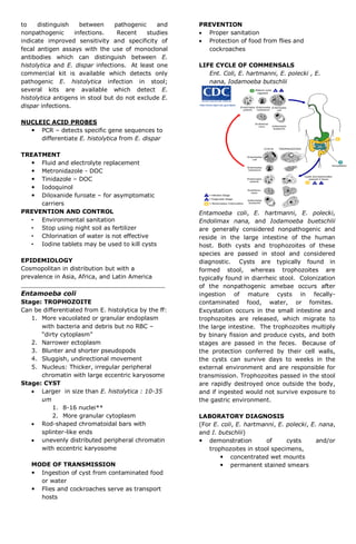Amoeba Notes 2014 | PDF