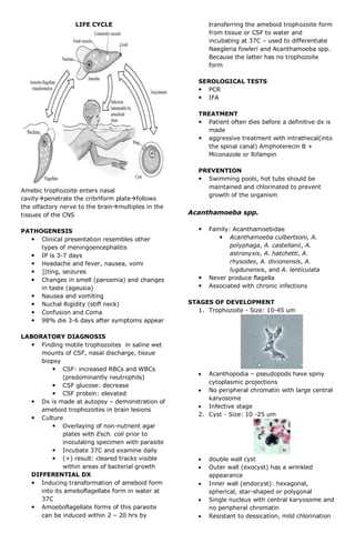 Amoeba Notes 2014 | PDF