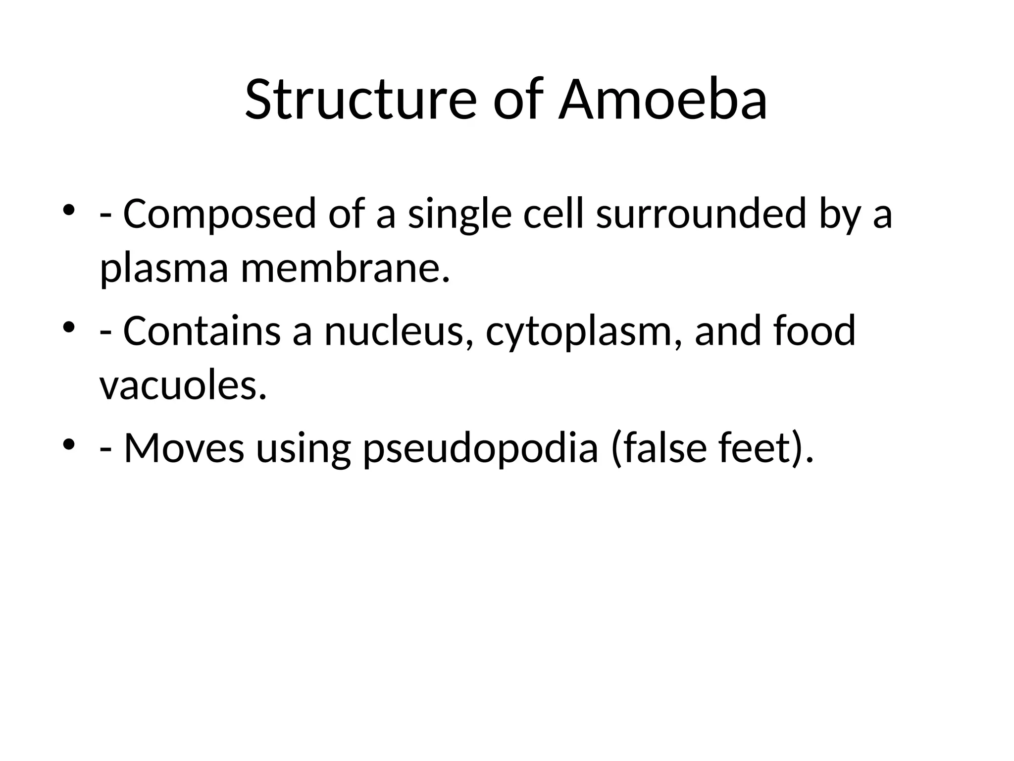 General view about amoeba parasited.pptx