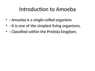 General view about amoeba parasited.pptx