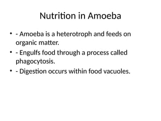 General view about amoeba parasited.pptx
