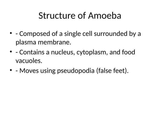 View of Amoeba parasite_Presentation.pptx