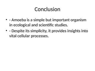 View of Amoeba parasite_Presentation.pptx