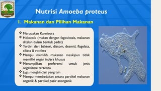Amoeba Proteus_Helvi Maudy Saswita, M.Si.pptx