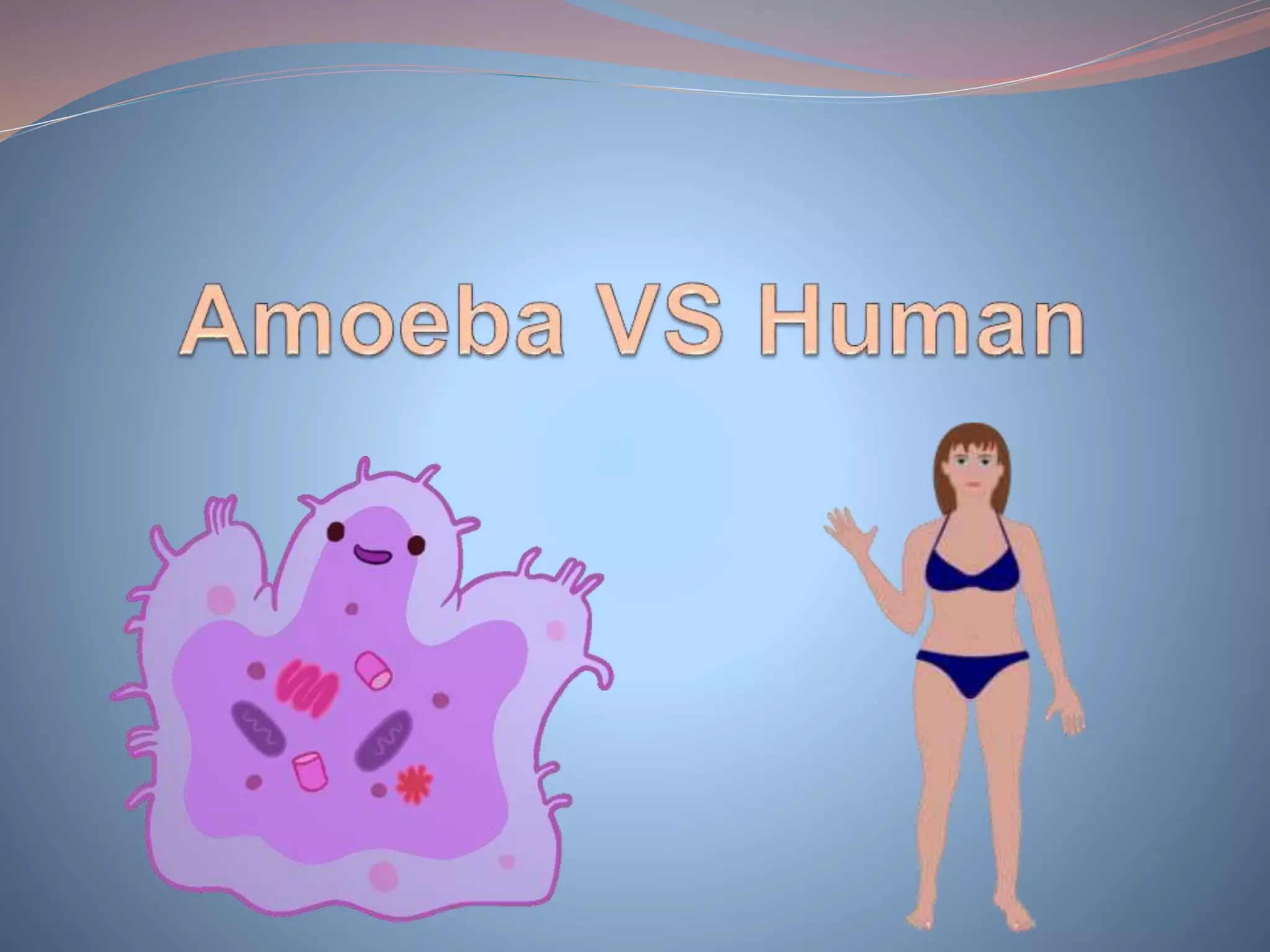 Amoeba vs human | PPTX