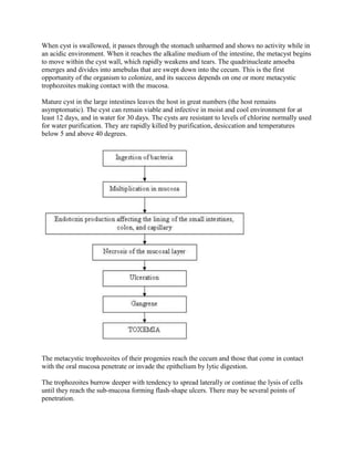 Amoebiasis | DOCX