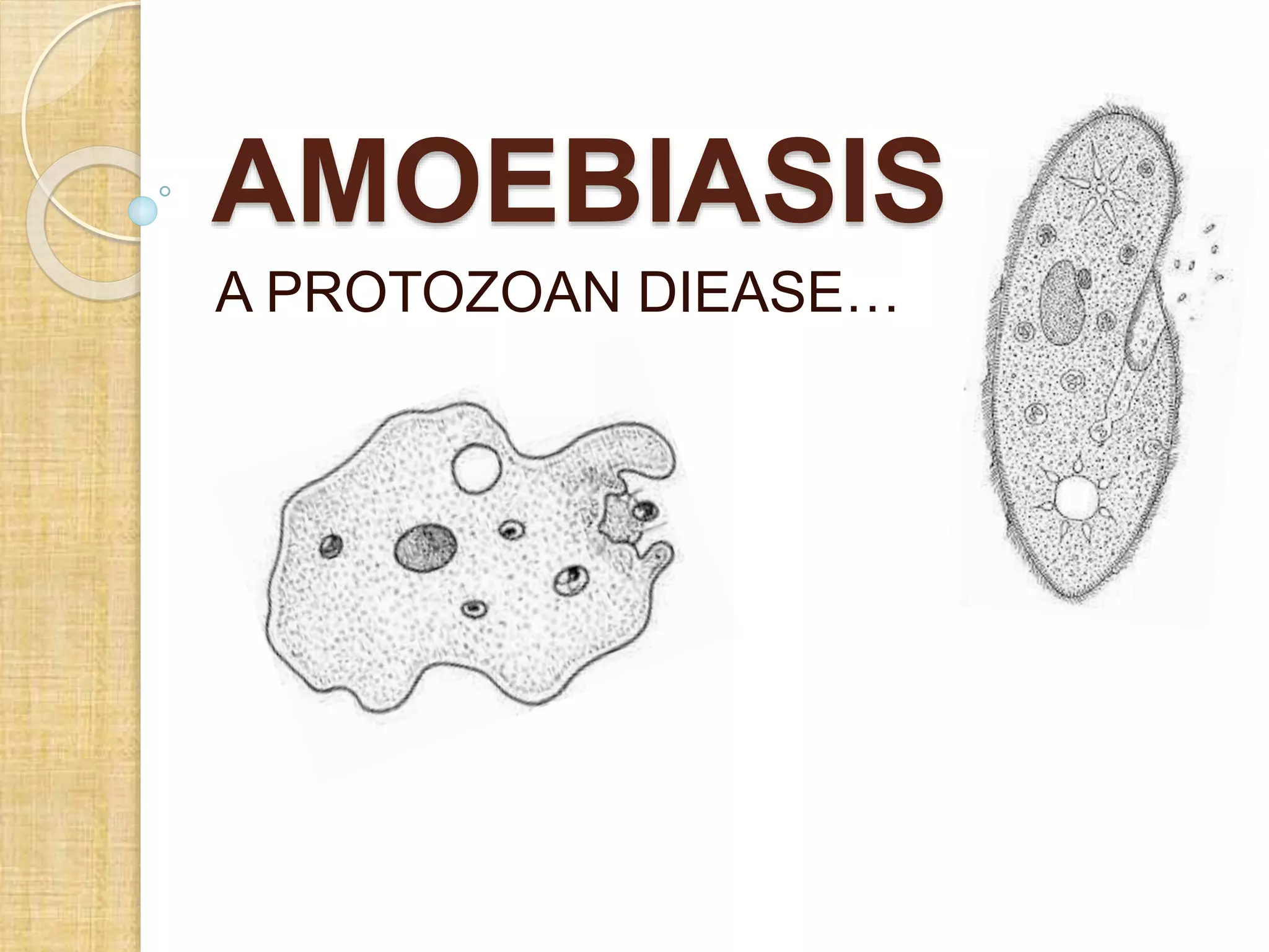 Amoebiasis | PPT