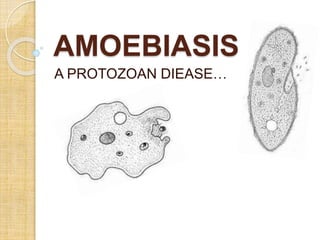 Amoebiasis | PPT