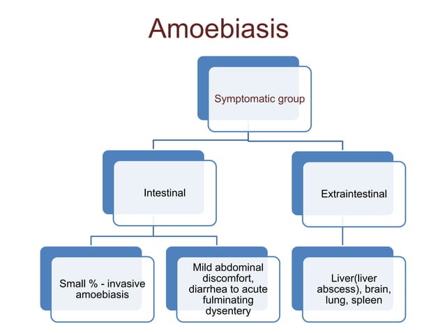 Amoebiasis | PPTX | Digestive Disorders | Diseases and Conditions