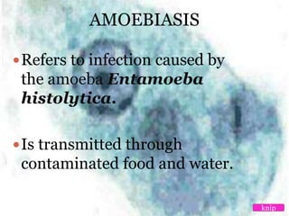 Amoebiasis | PPT