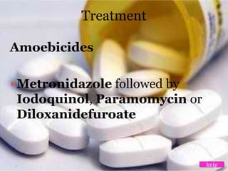Amoebiasis | PPTX