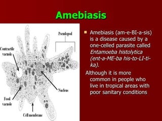 Amoebiasis | PPT
