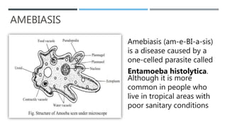 Amebiasis | PPTX