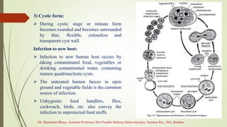Amoebiasis.pptx | Digestive Disorders | Diseases and Conditions