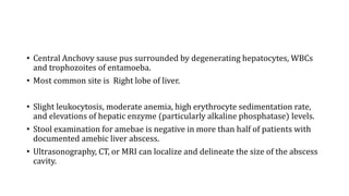 A Brief PPT about Amoebiasis.pptx