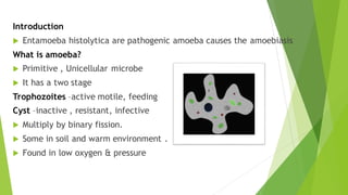 AMOEBIASIS DISEASE | PPT