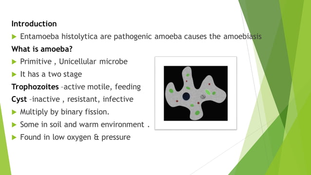 AMOEBIASIS DISEASE | PPT