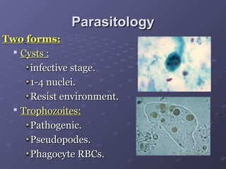 Amoebiasis presentation of microbiology ppt | PPT
