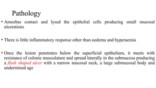 AMOEBIASIs presentation slide on amoebasis | PPTX