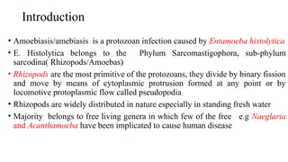 AMOEBIASIs presentation slide on amoebasis | PPTX