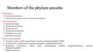AMOEBIASIs presentation slide on amoebasis | PPTX