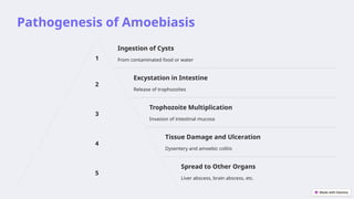 Anti-Amoebic Drug Pharmacology: Treatment Strategies and Drug ...