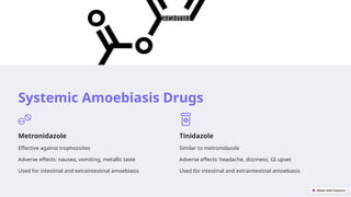 Anti-Amoebic Drug Pharmacology: Treatment Strategies and Drug ...