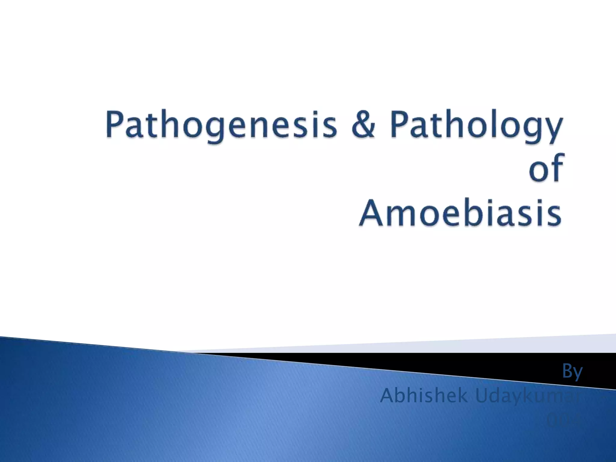 Amoebiasis pathogenesis and pathology | PPTX