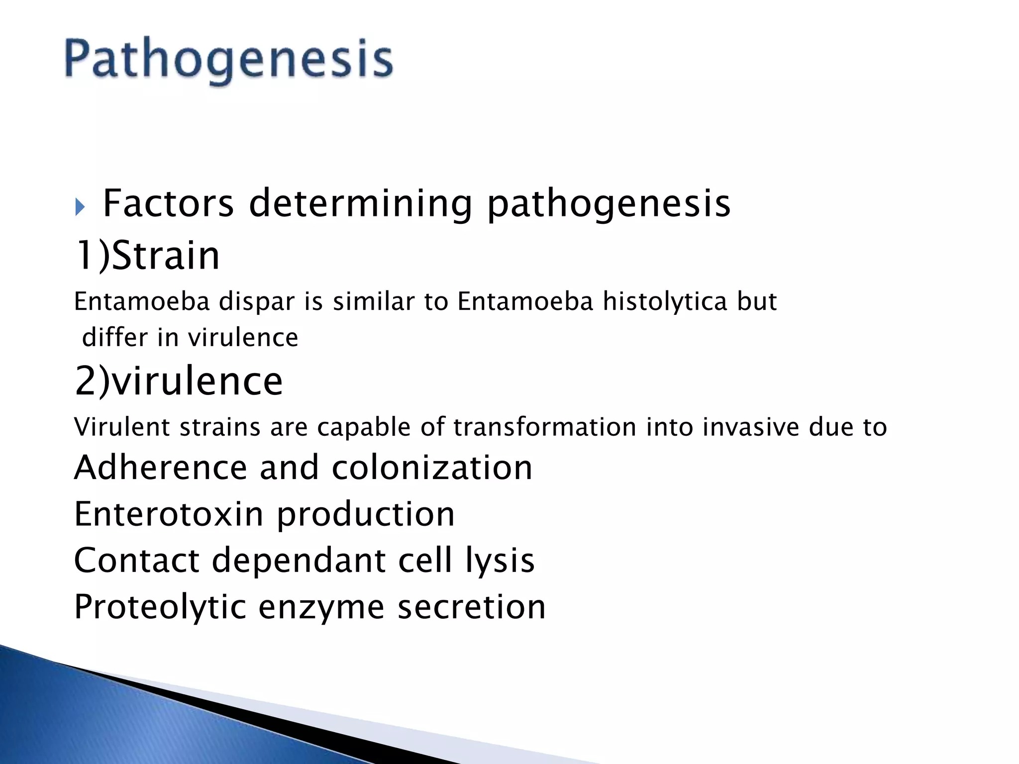 Amoebiasis pathogenesis and pathology | PPTX