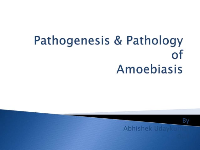 Amoebiasis pathogenesis and pathology | PPTX | Digestive Disorders ...